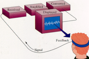 Biofeedback & Stress Management - BizEd.com